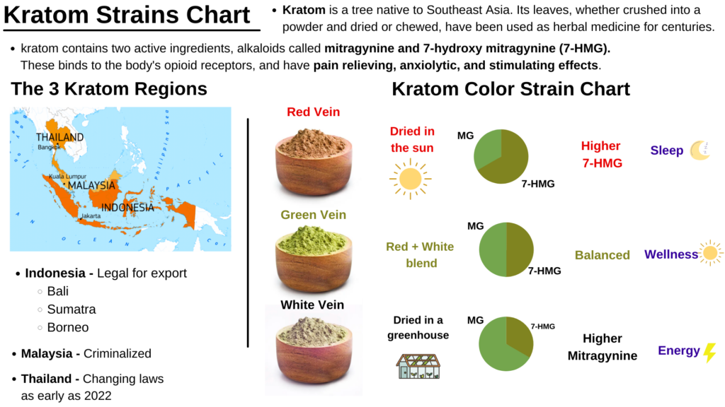 Kratom Strain Chart: Kratom Colors, Regions, and Strains Explained ...