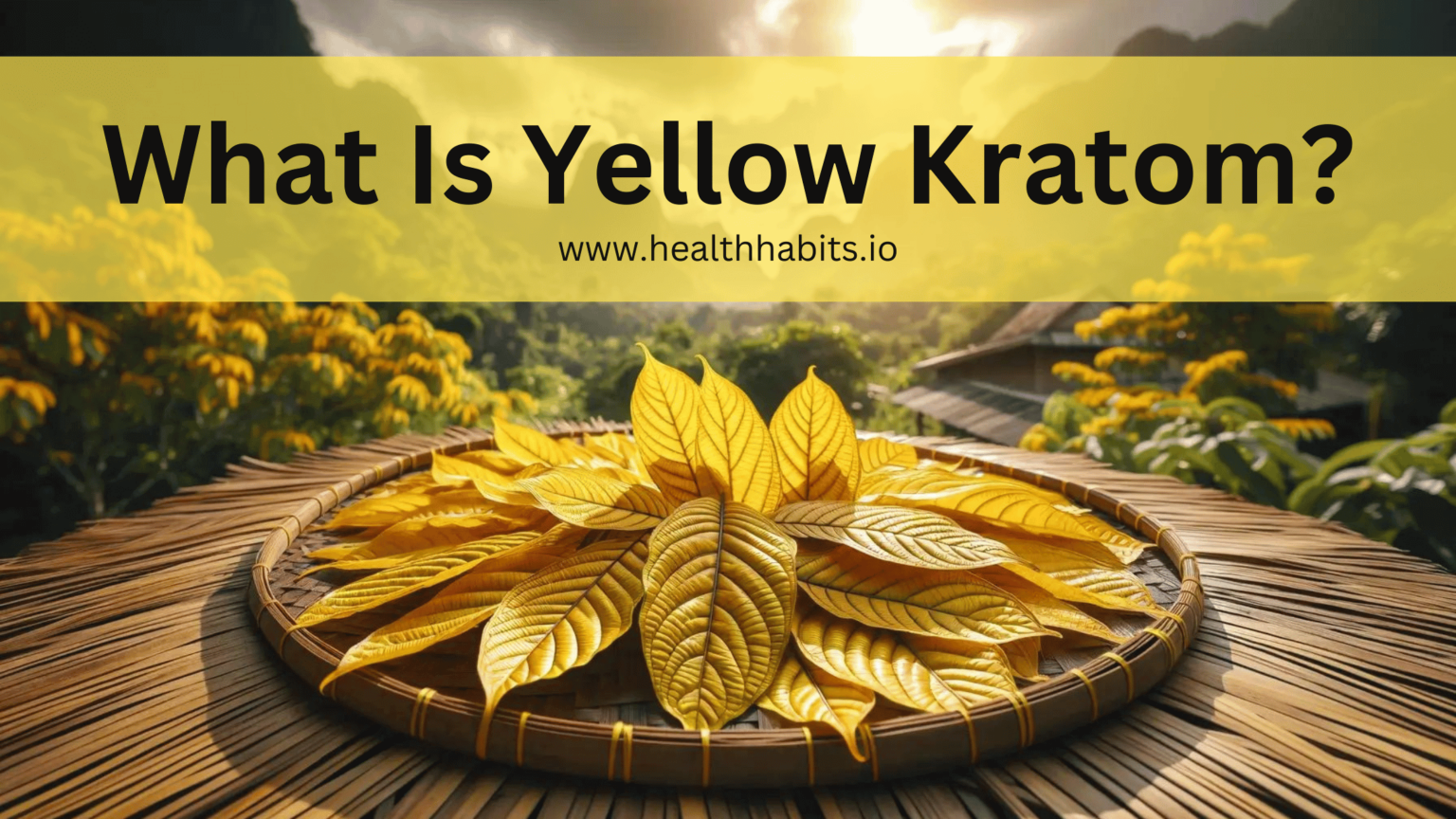 What Makes Yellow Kratom Unique? (And Where to Buy It) – Health Habits